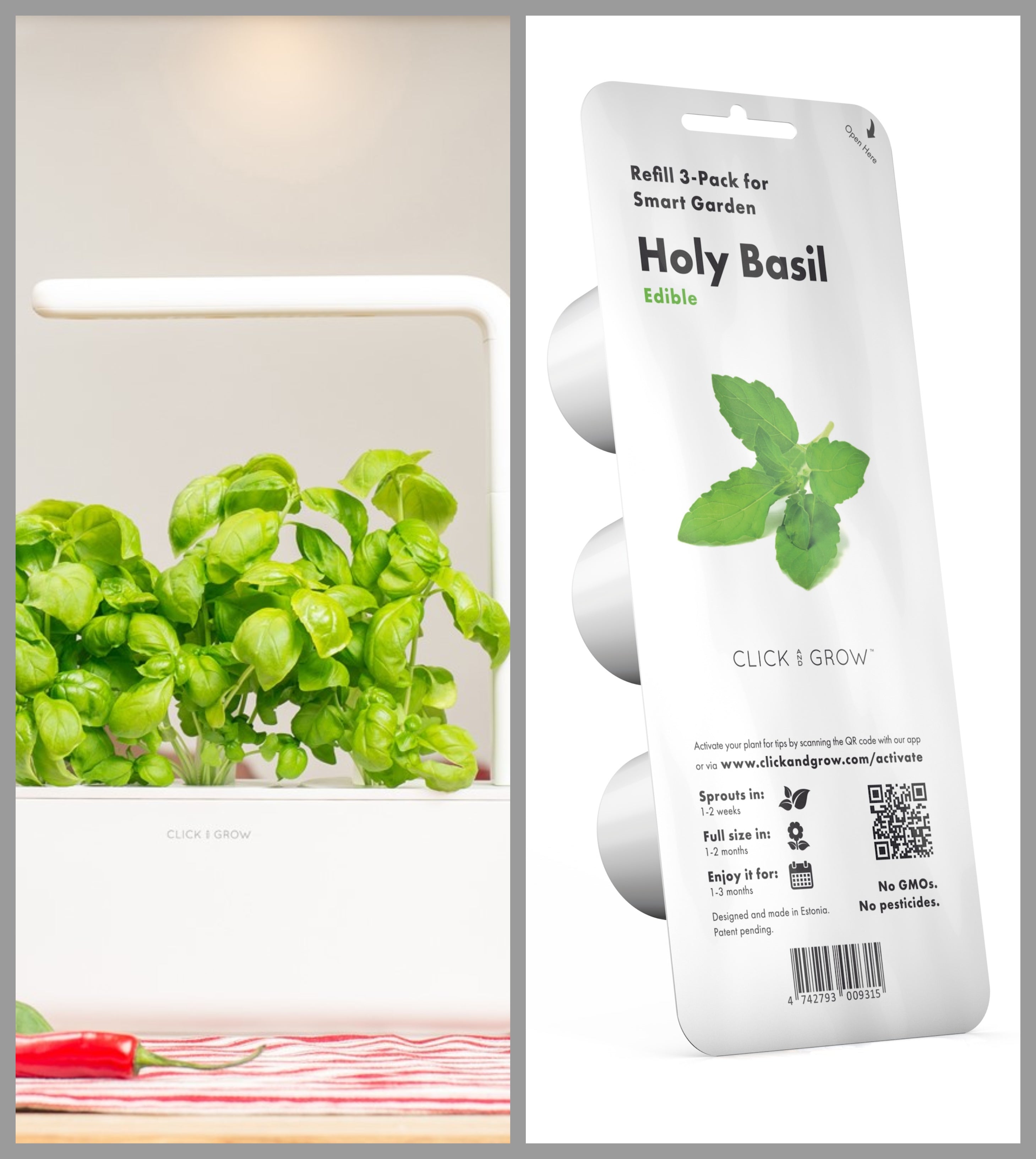 Try These 5 Fantastic Ways to Use Fresh Basil! – Click & Grow