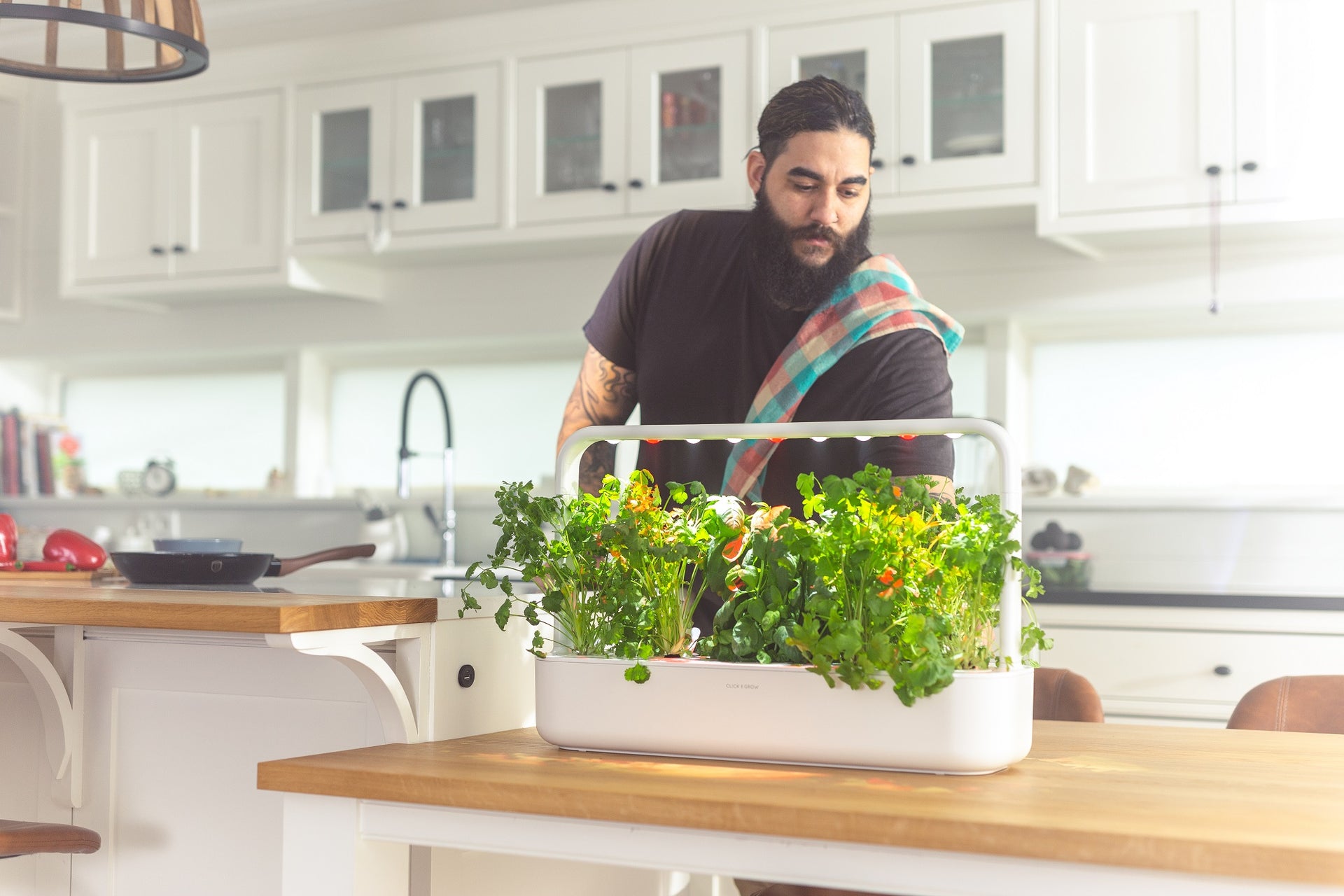 3 Must-Have Italian Herbs (and How to Use Them) – Click & Grow