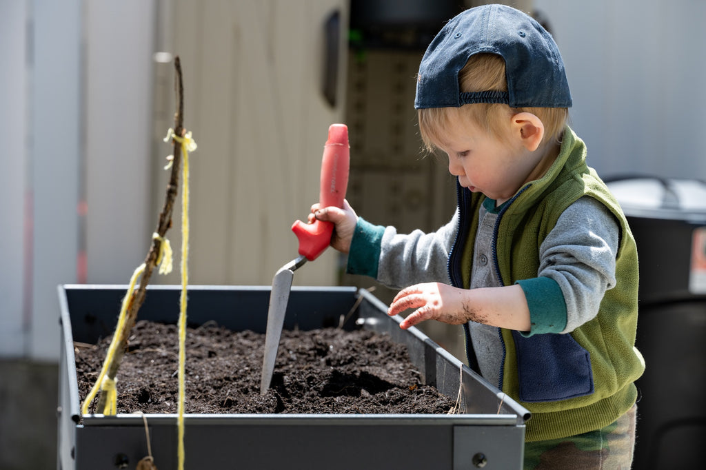 Why Children Need a School Garden – Click & Grow