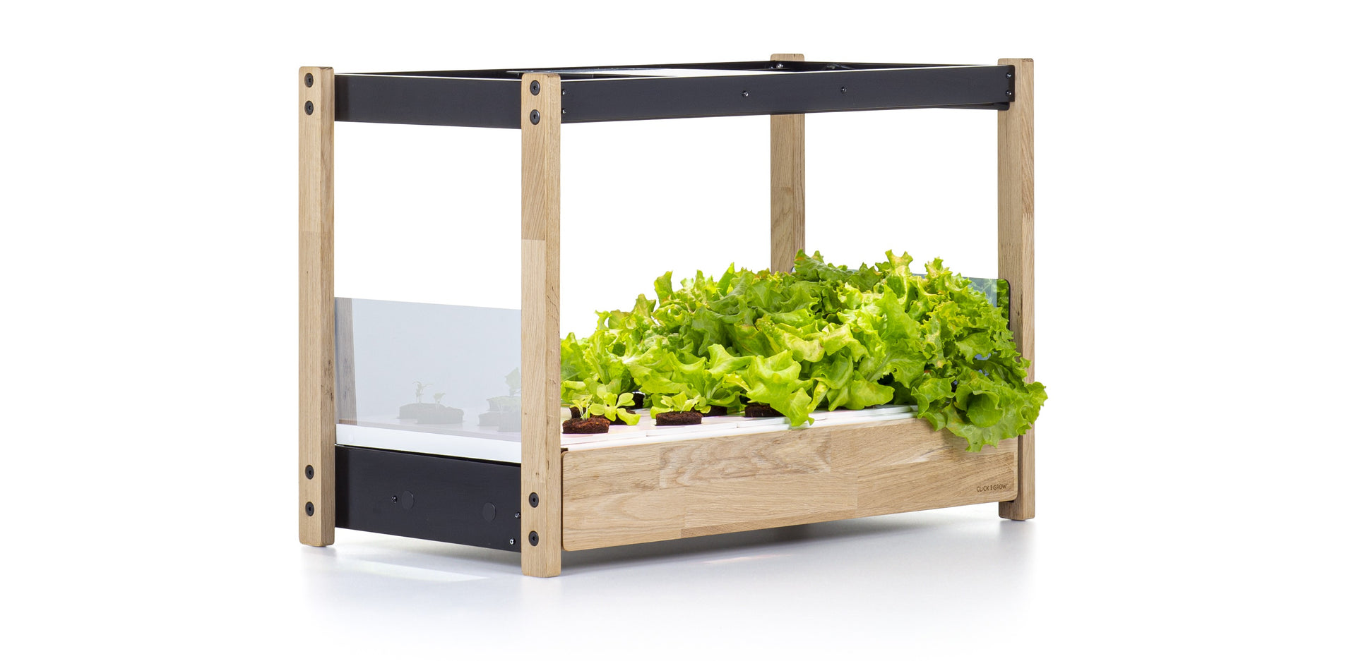 Why Does the Click and Grow 25 Use a 5-week Cycle to Grow Greens ...