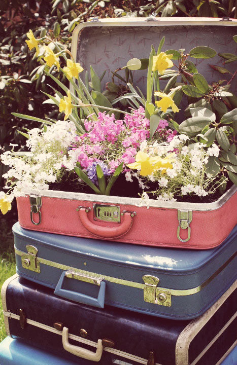 10 Crazy Plant Pot Alternatives That Are Just Too Cute – Click & Grow