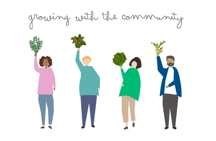 Growing with the Community - Featuring Connie Chew – Click & Grow