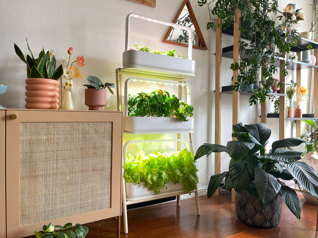 Home Decor Ideas: 7 Ways to Use Your Indoor Herb Garden – Click & Grow