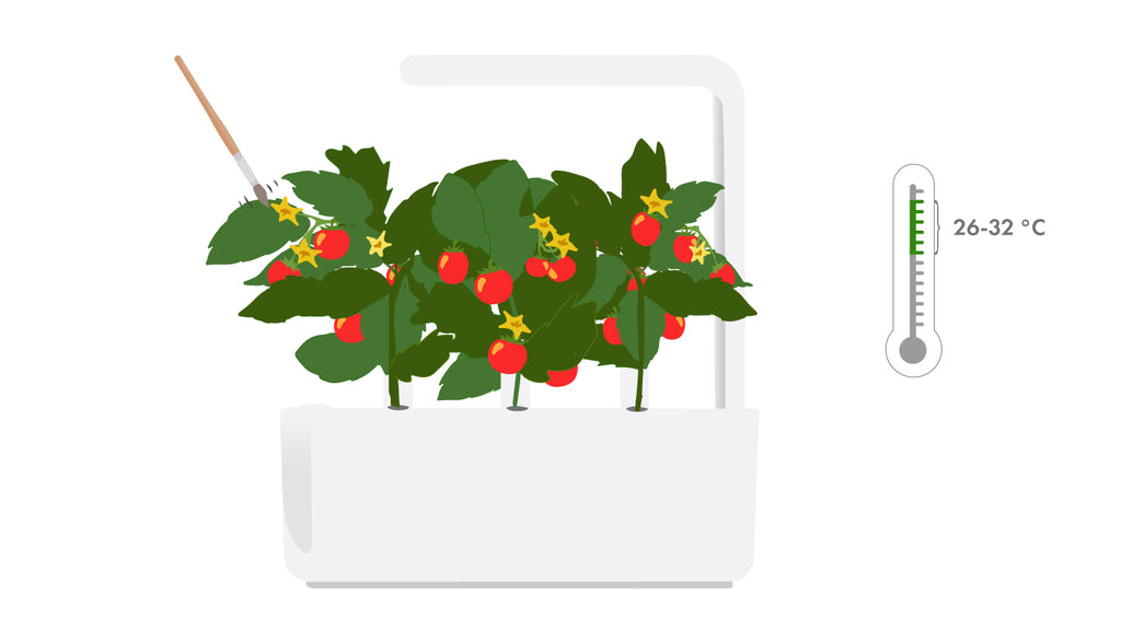 Tip of the week! – Click & Grow