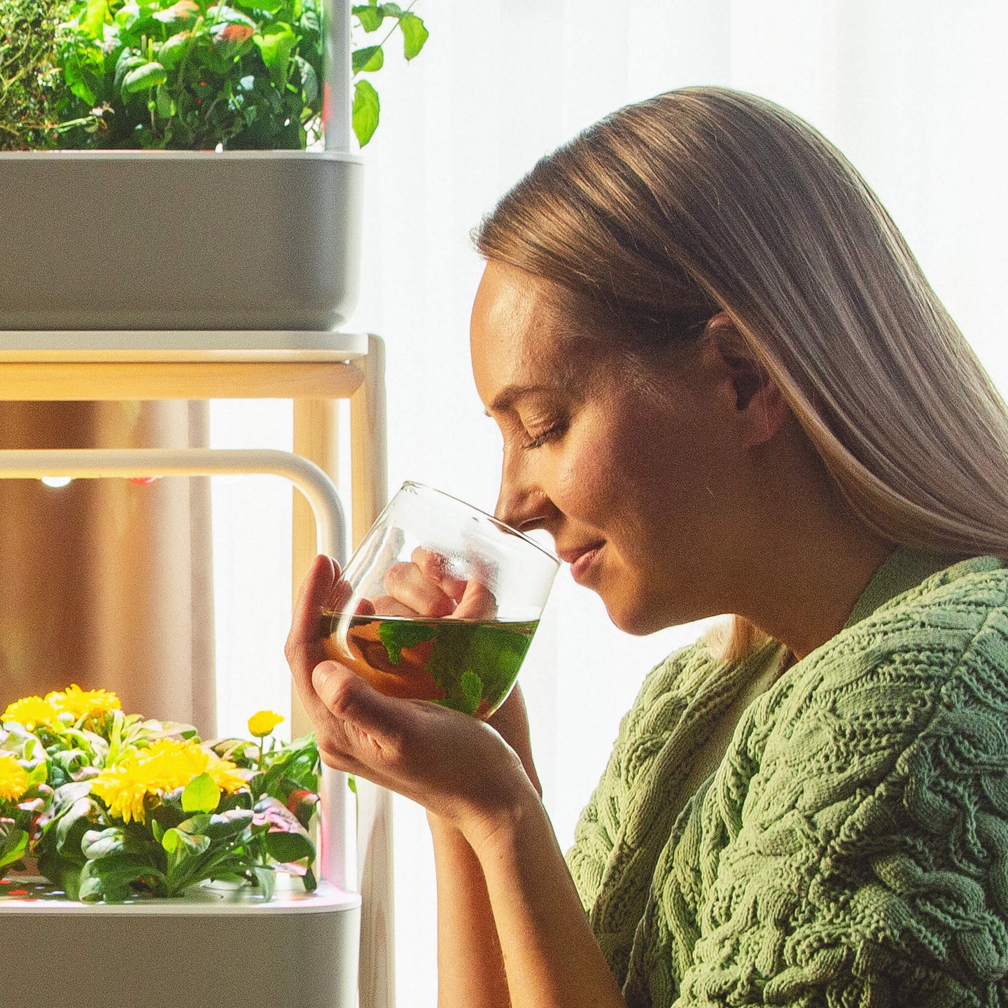 Indoor Herb Garden Kit and Refills | Click & Grow