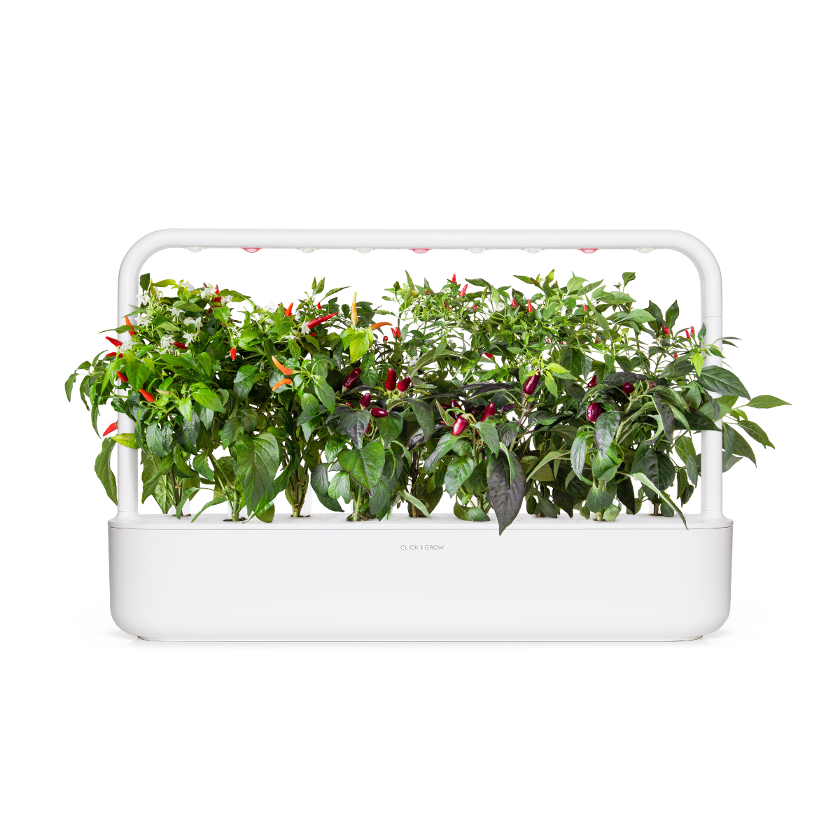 Chili Pepper Mix for Click & Grow Indoor Herb Gardens