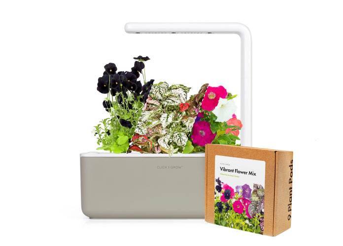 Sale – Click & Grow