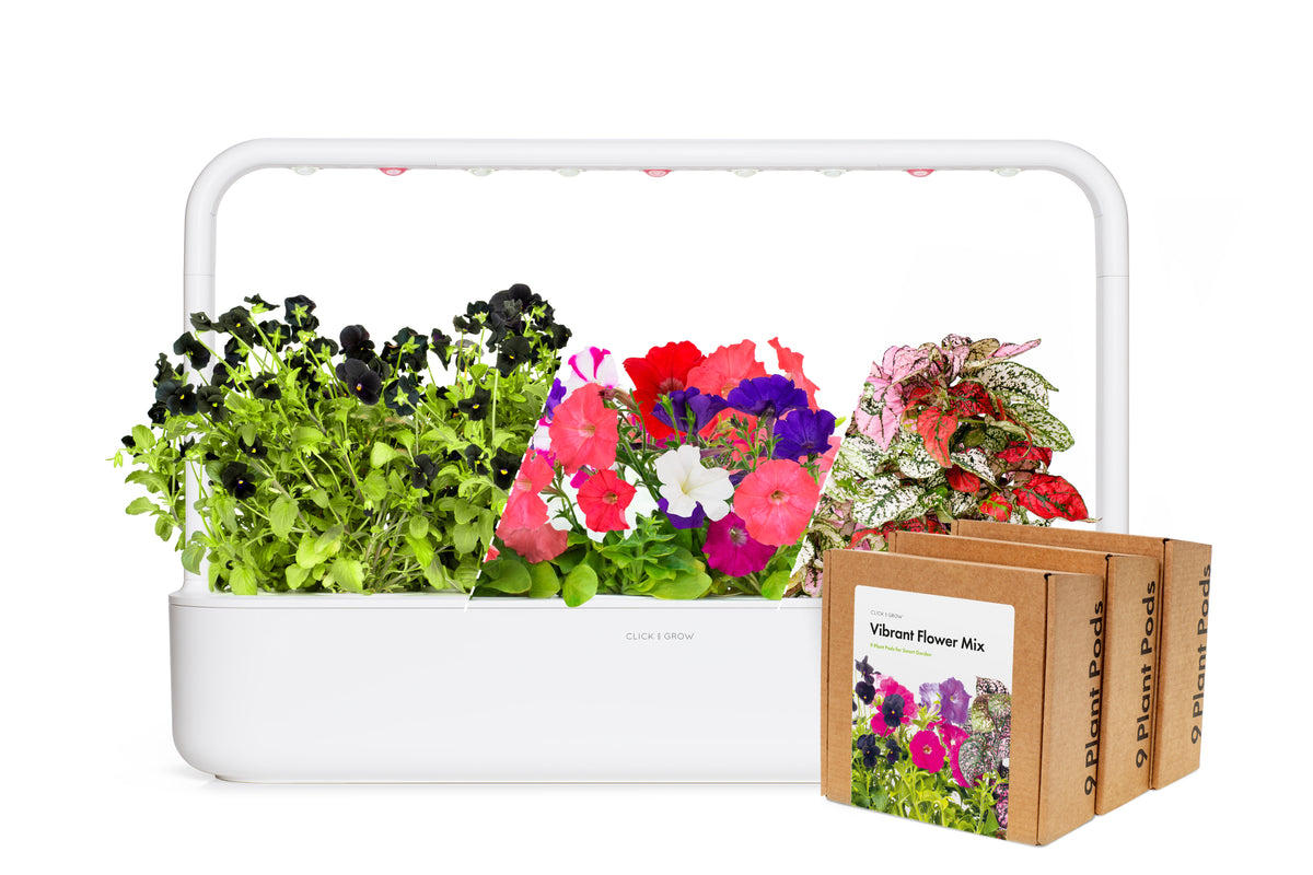 New bundles – Click & Grow