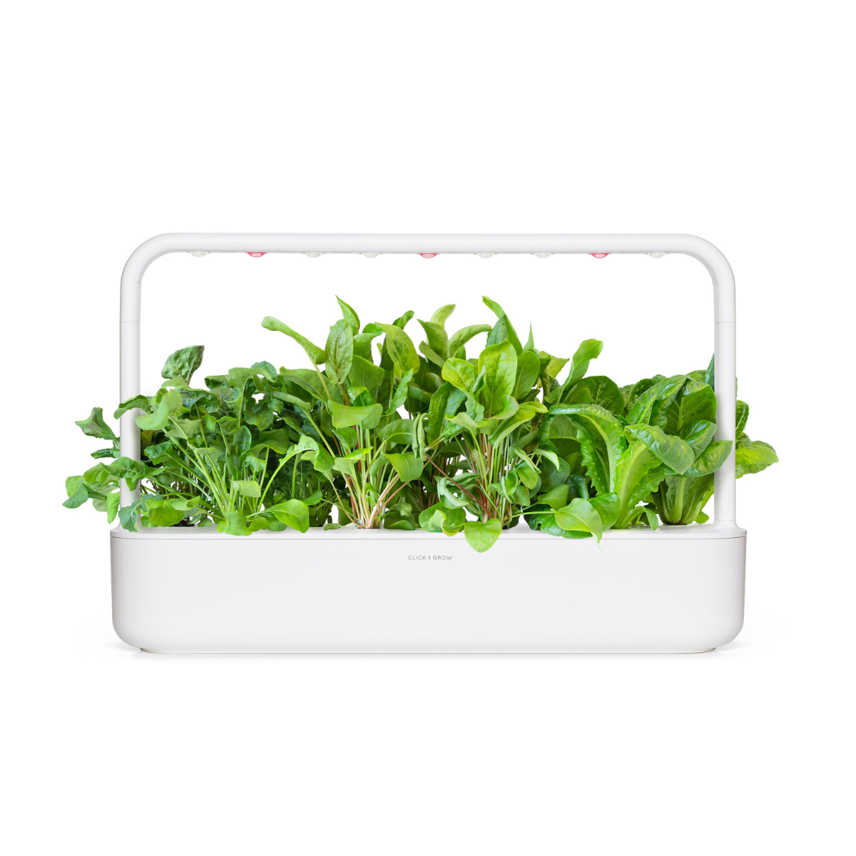 Green Salad Mix for Click & Grow Indoor Herb Gardens