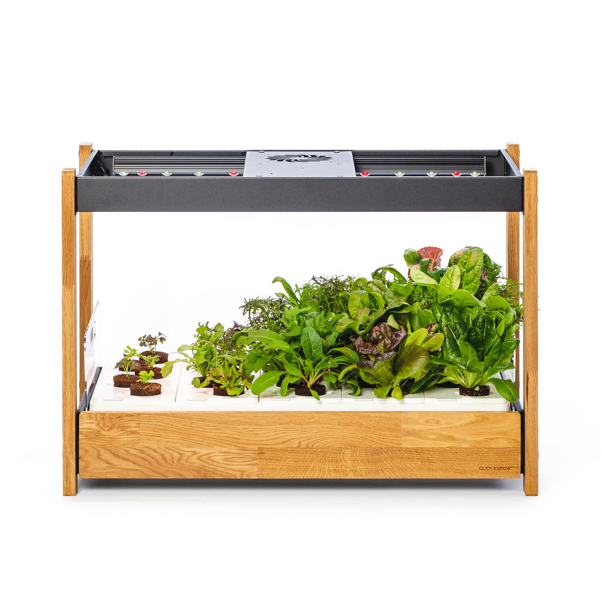 Indoor Herb Garden Kit and Refills | Click & Grow