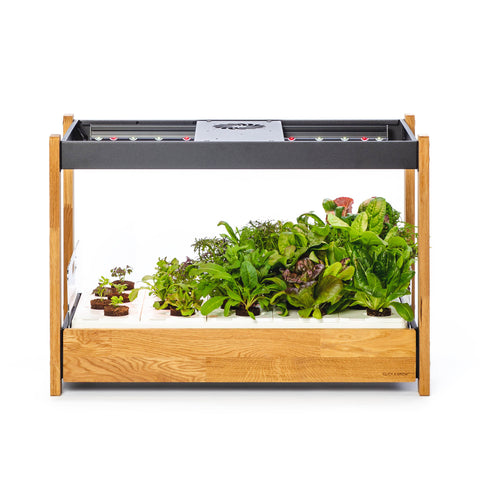 The Click & Grow 25 - Indoor garden for healthy, fresh home-grown leafy ...