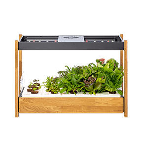 Welcome – Click & Grow