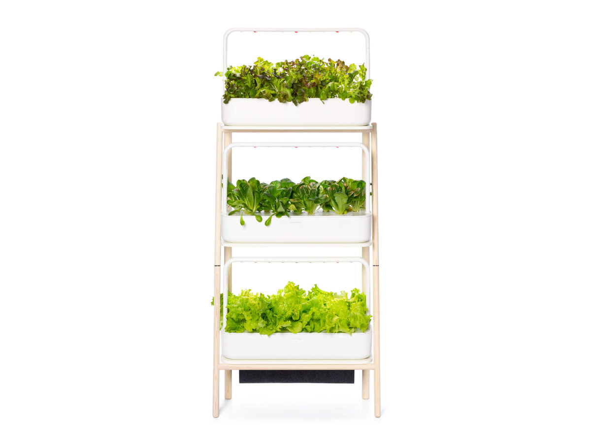 The Smart Garden 27 Home Garden | Click & Grow