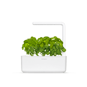 Welcome – Click & Grow