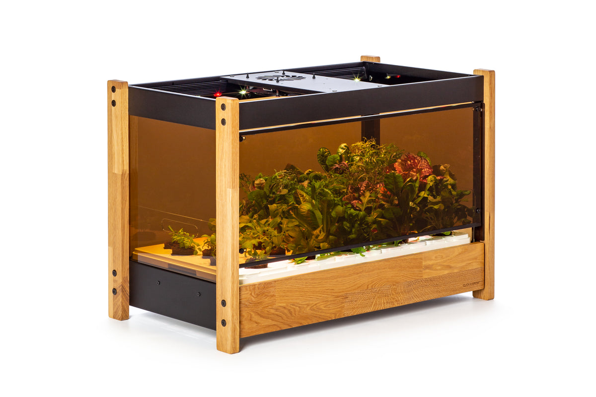 The Click & Grow 25 - Indoor garden for healthy, fresh home-grown leafy ...