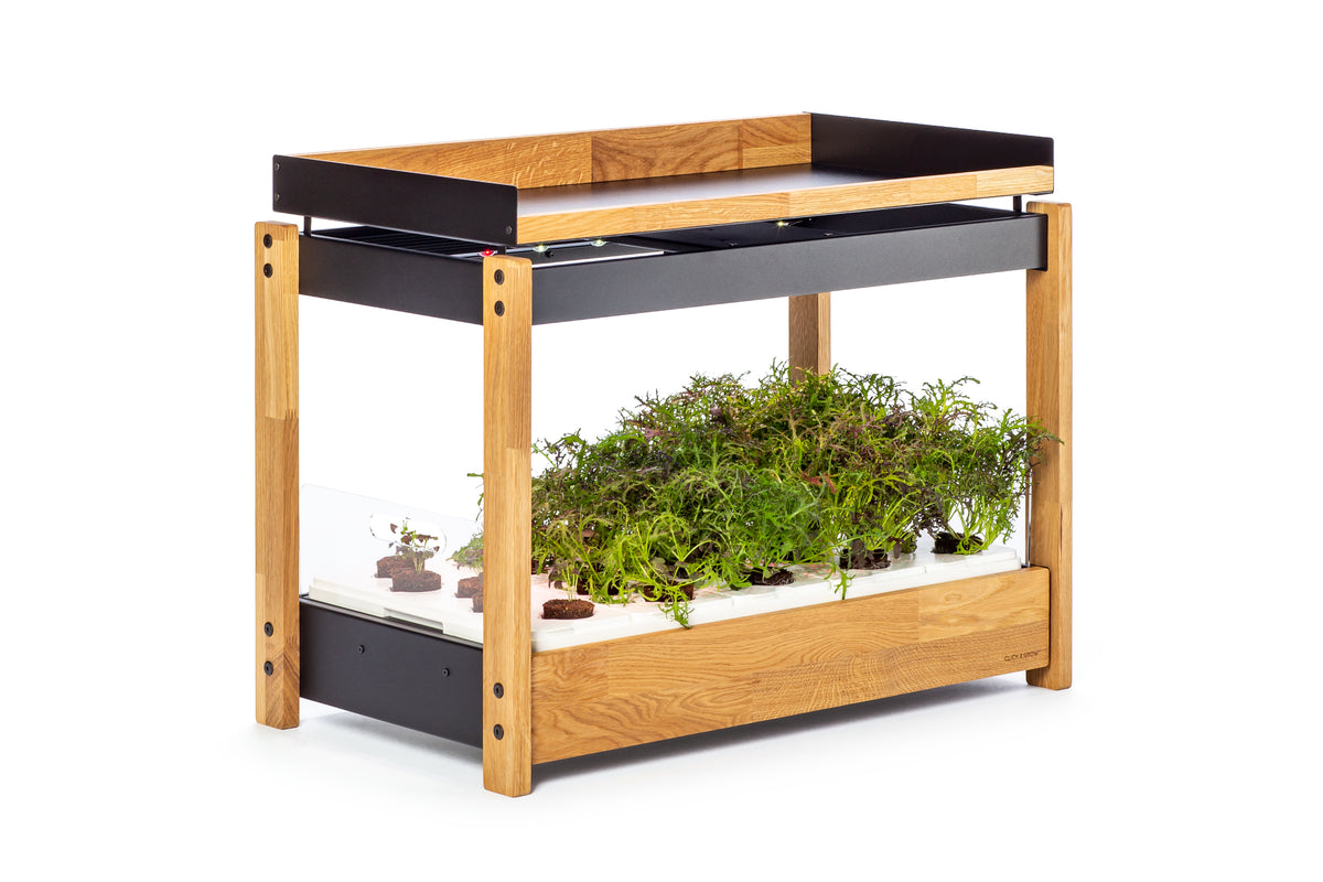 The Click & Grow 25 - Indoor garden for healthy, fresh home-grown leafy ...
