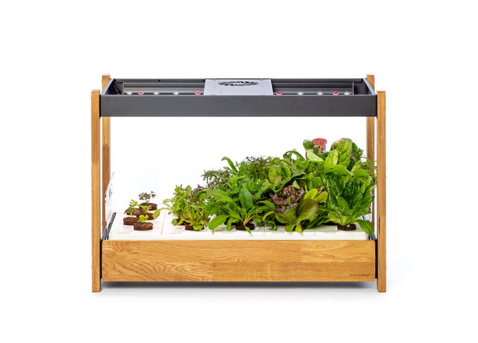 Indoor Herb Garden Kit and Refills | Click & Grow