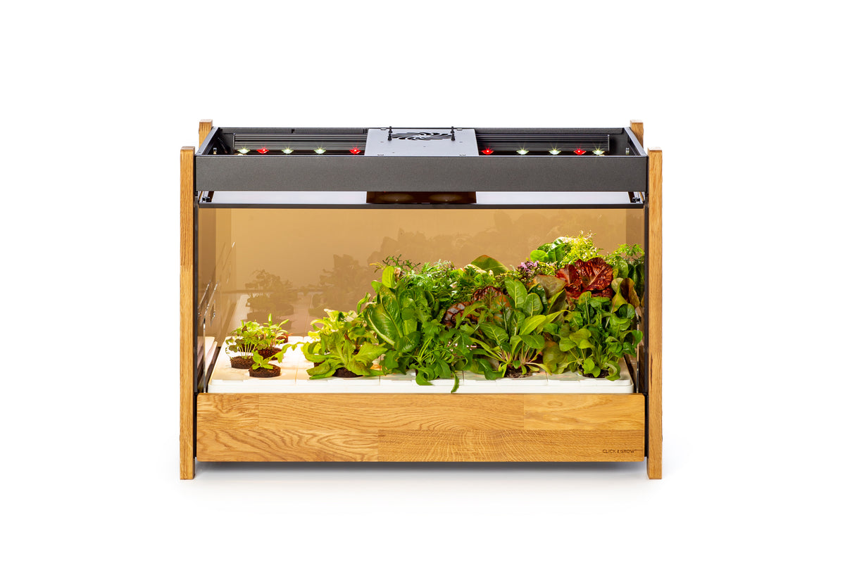 The Click & Grow 25 - Indoor garden for healthy, fresh home-grown leafy ...