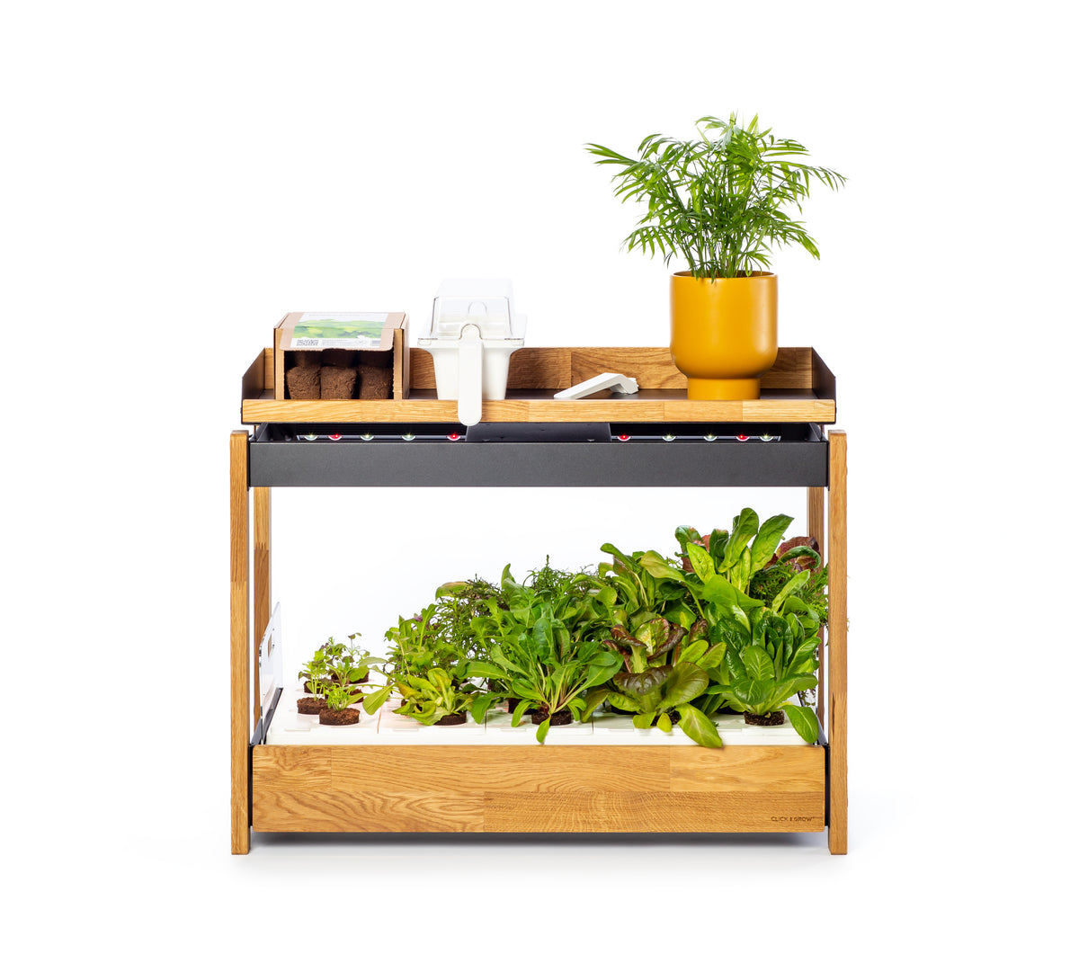 The Click & Grow 25 - Indoor garden for healthy, fresh home-grown leafy ...