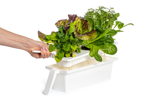 CG 25 Accessories – Click & Grow