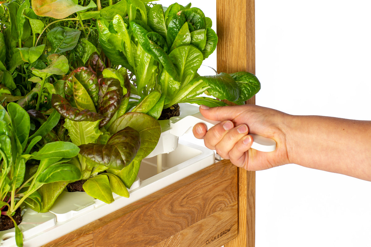 The Click & Grow 25 - Indoor garden for healthy, fresh home-grown leafy ...