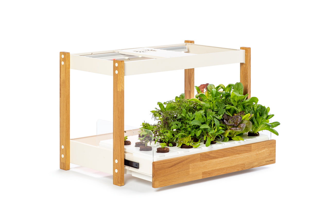 The Click & Grow 25 - Indoor garden for healthy, fresh home-grown leafy ...