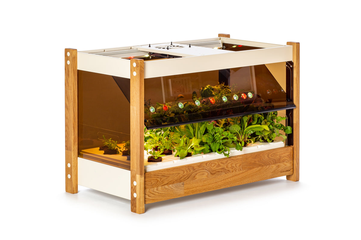 The Click & Grow 25 - Indoor garden for healthy, fresh home-grown leafy ...