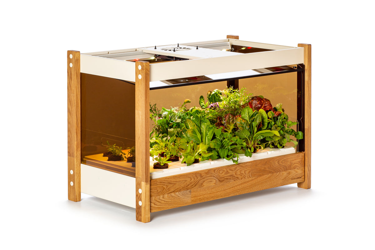 The Click & Grow 25 - Indoor garden for healthy, fresh home-grown leafy ...
