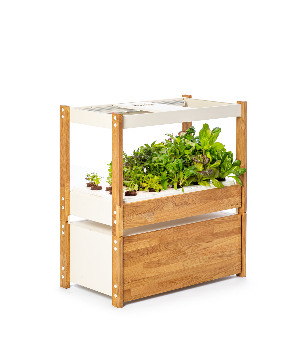 The Click & Grow 25 - Indoor garden for healthy, fresh home-grown leafy ...
