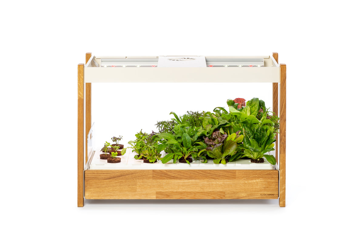 The Click & Grow 25 - Indoor garden for healthy, fresh home-grown leafy ...