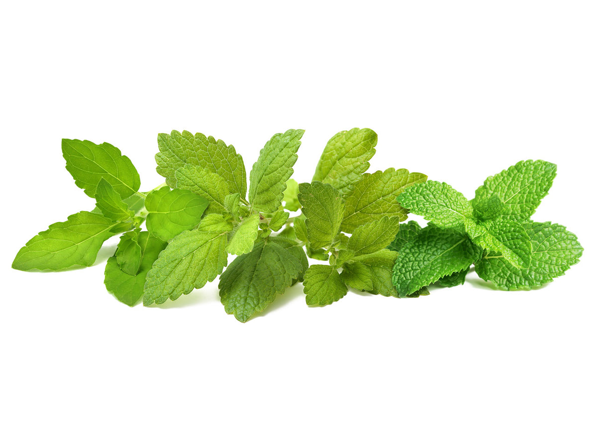 Calming Tea Mix for Click & Grow Indoor Herb Gardens