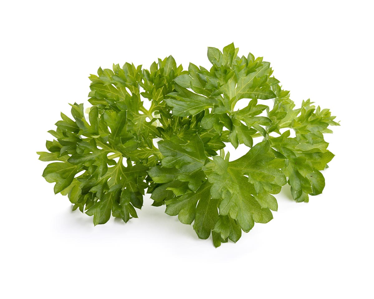 Parsley Plant Pods | Click & Grow