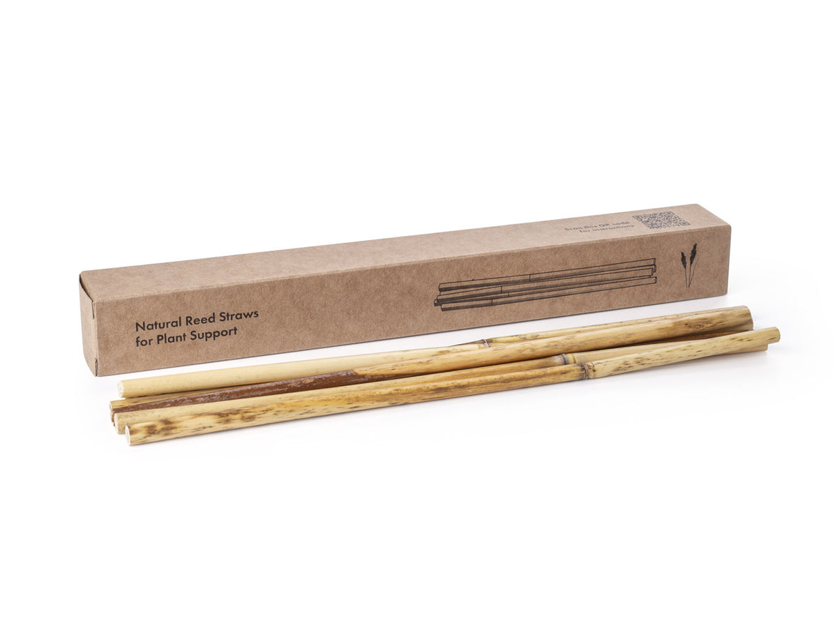 Natural Reed Straws - True support (10 pcs) – Click & Grow