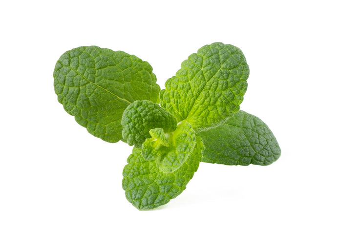 Products – Click & Grow