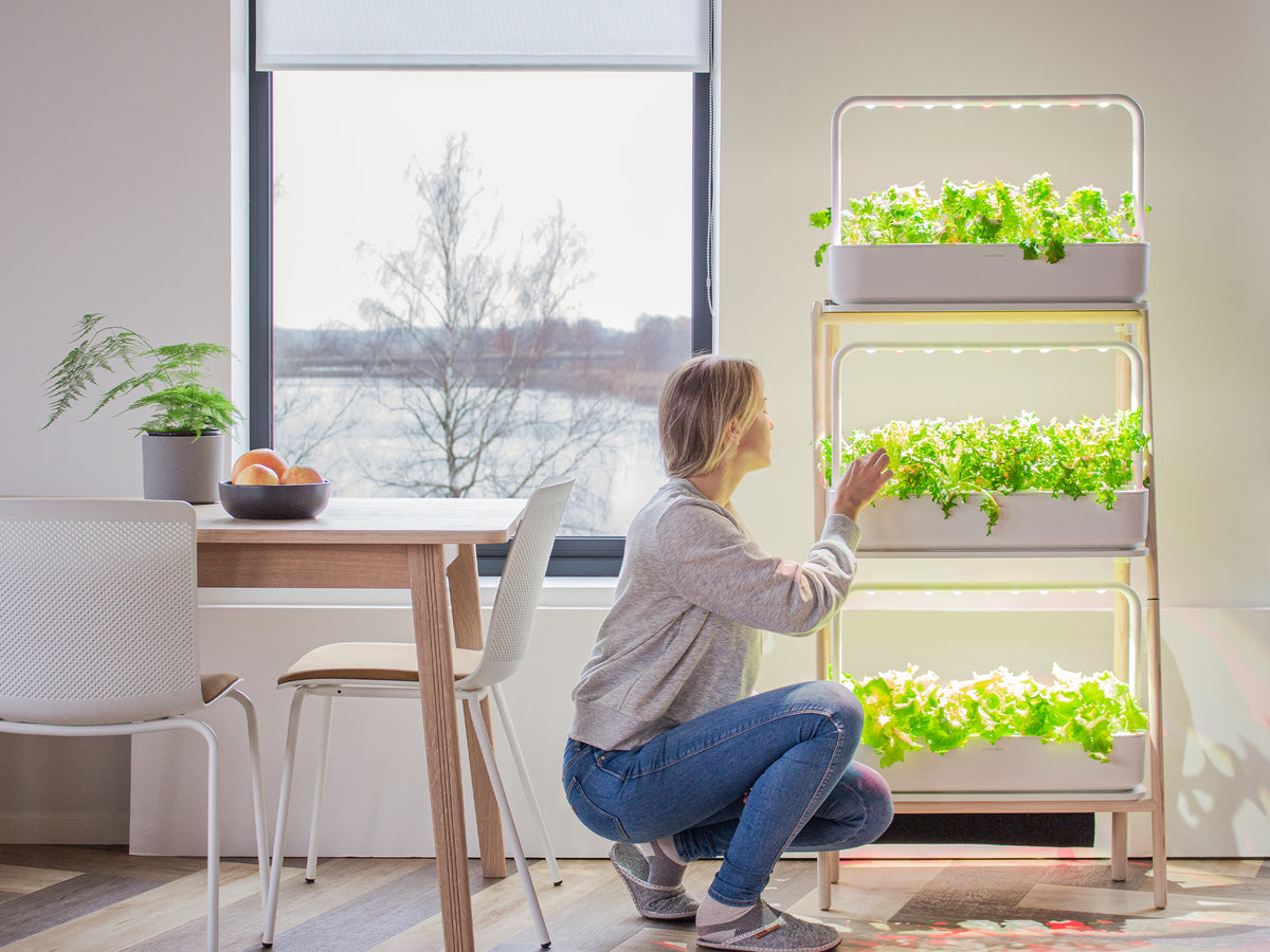 The Smart Garden 9 to 27 Upgrade – Click & Grow