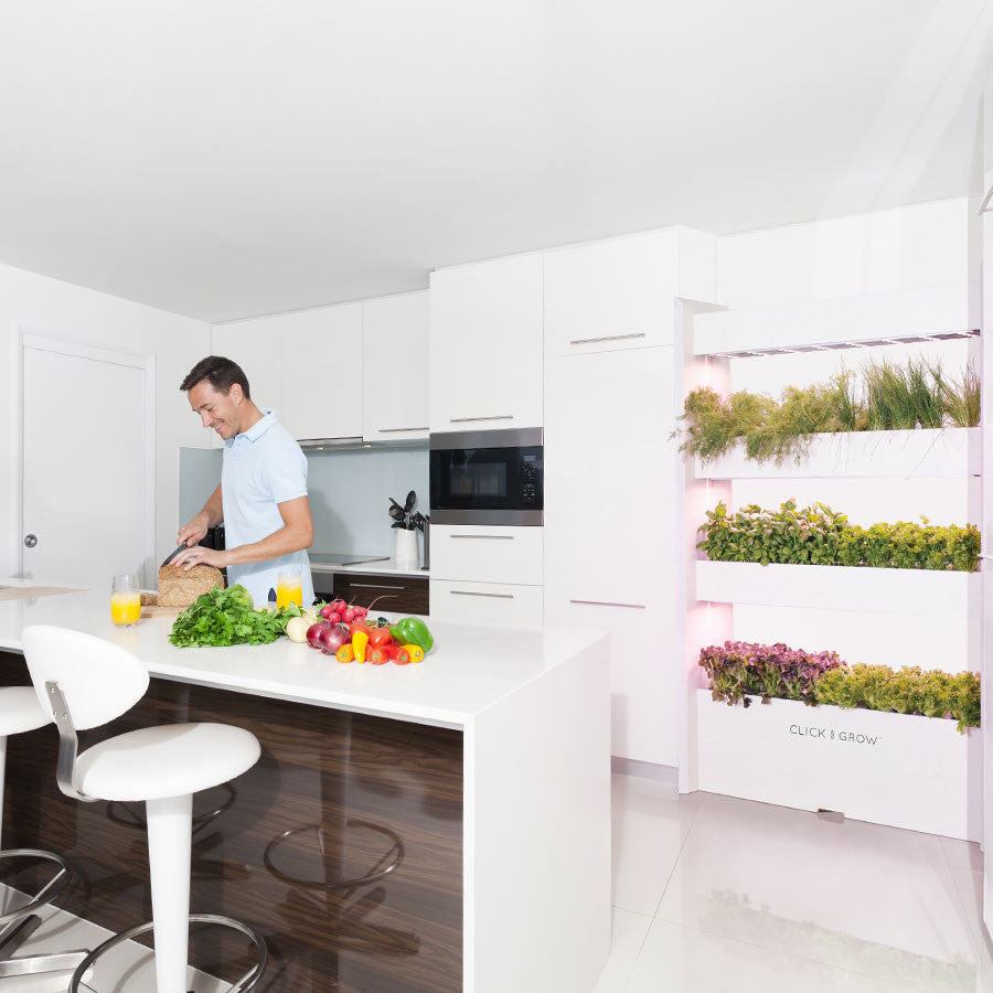 The Wall Farm indoor vertical garden | Click & Grow