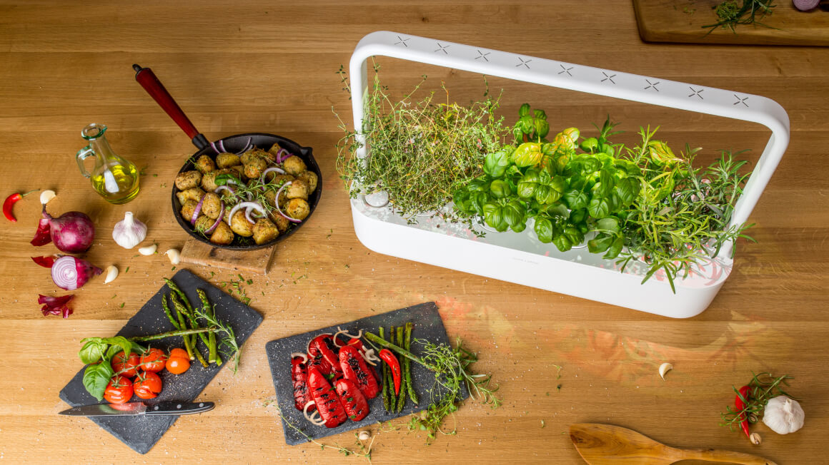 New bundles – Click & Grow