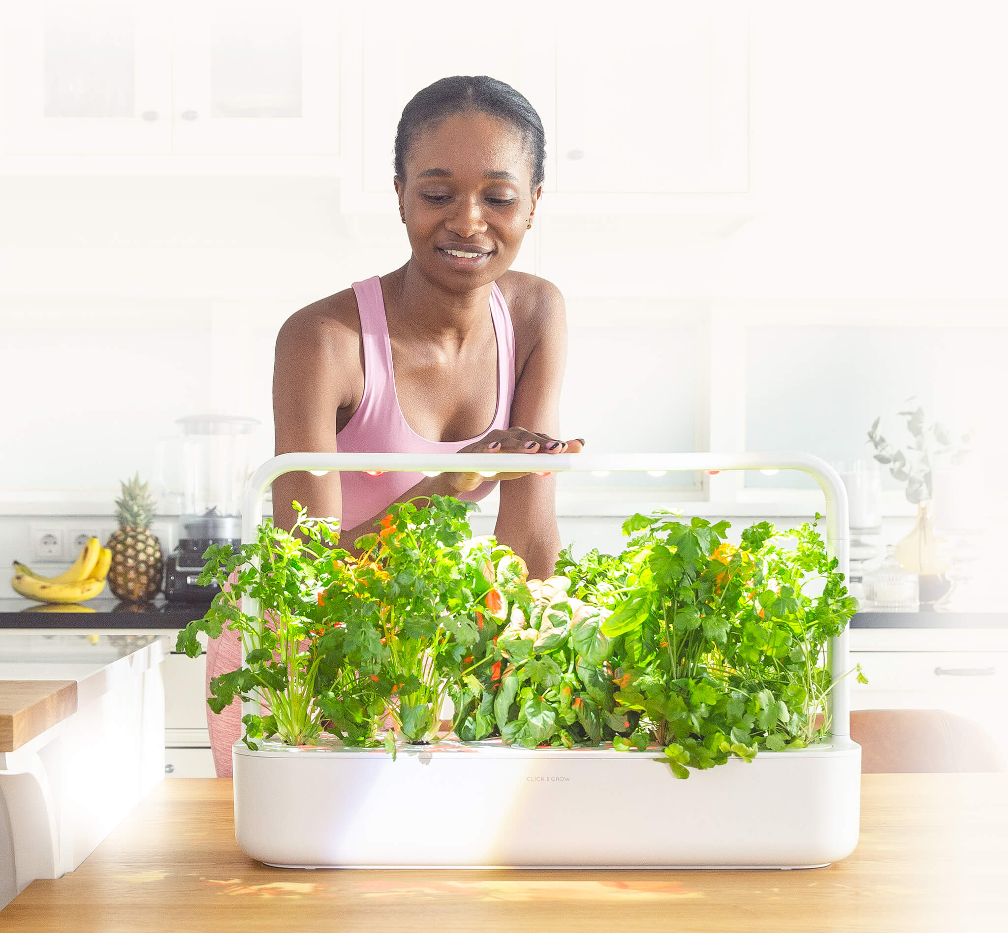 Click and Grow Archives - Lets get coupon