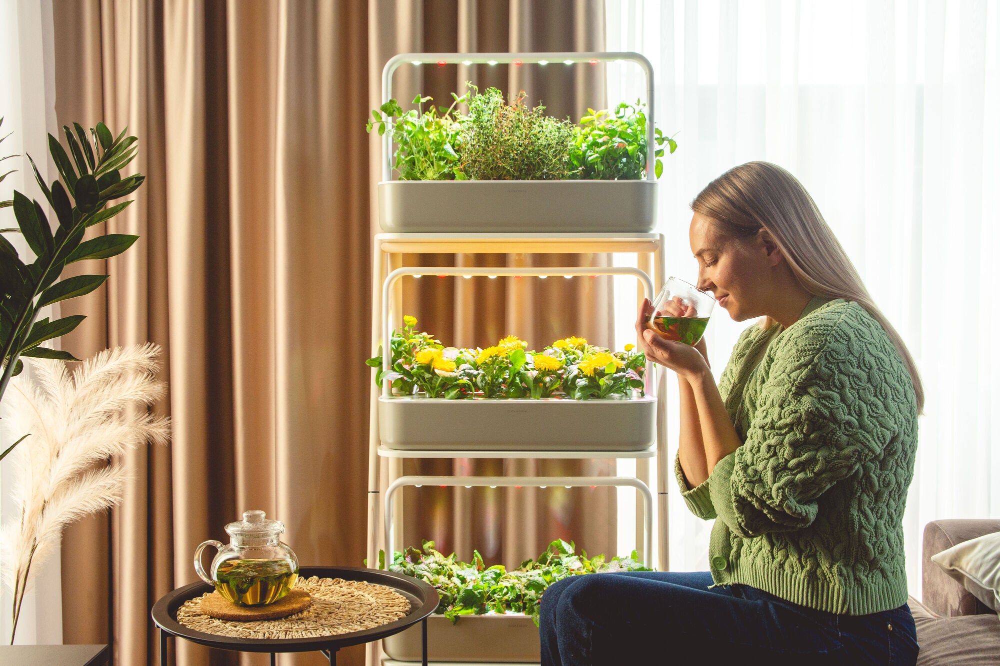 The flavor of fall – Click & Grow