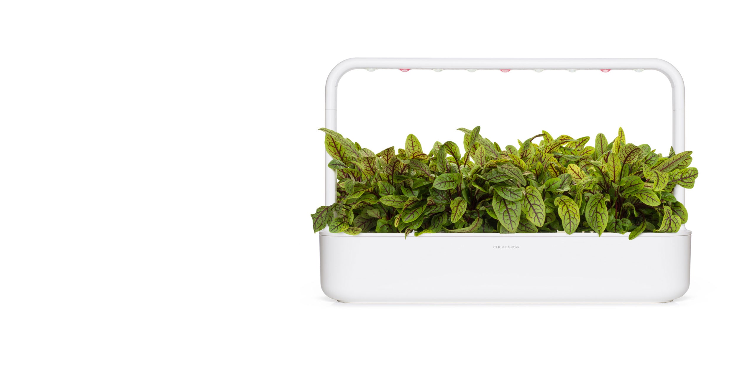 Smart gardens – Click & Grow