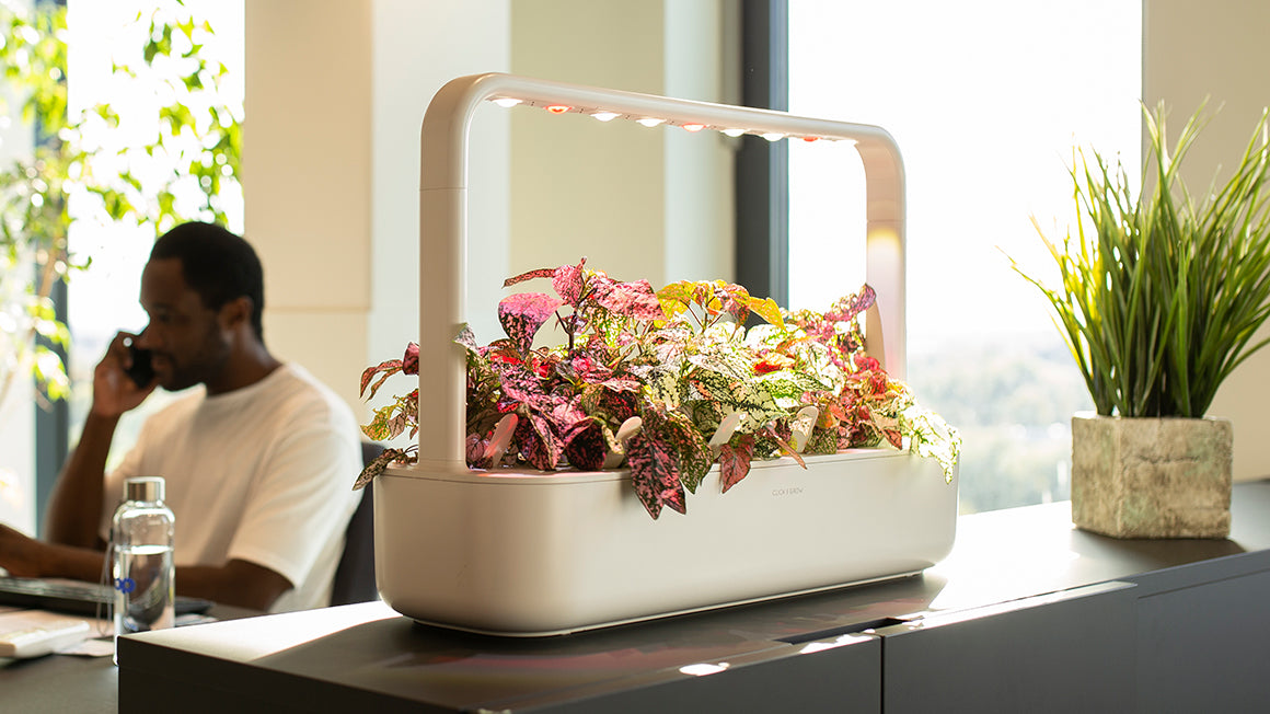 Smart Gardens for a happier workplace – Click & Grow